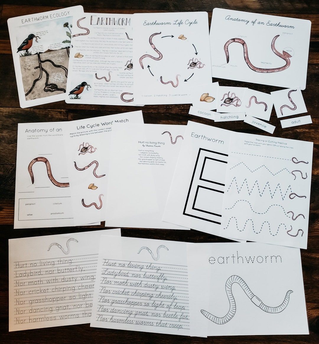 Earthworm Mini Study Physical Bundle - Etsy