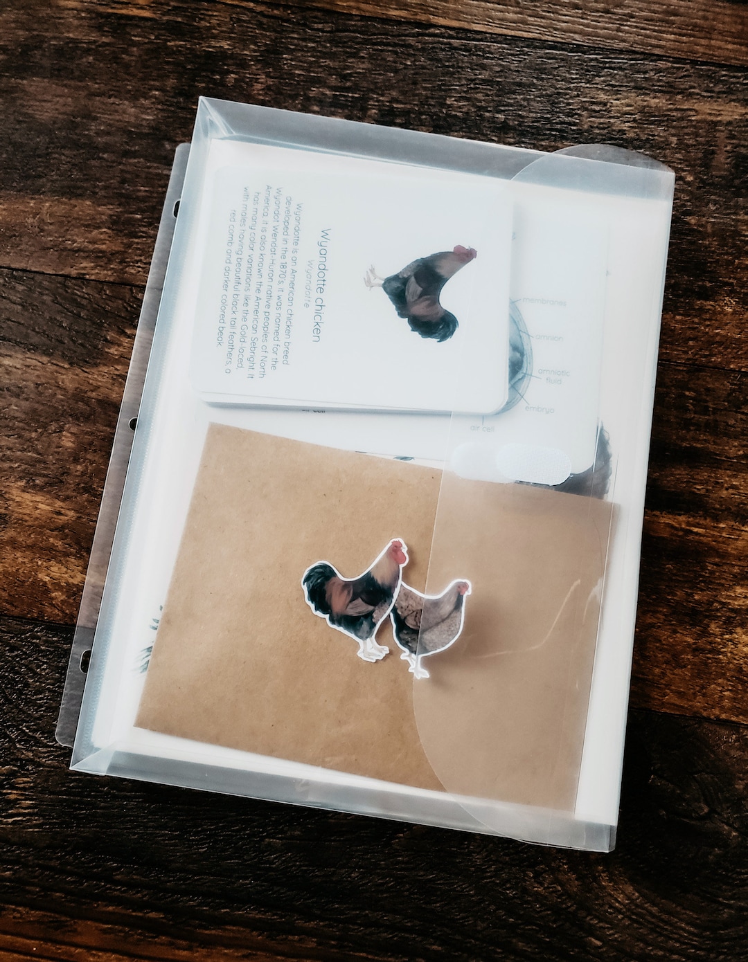 Chicken Unit Study Physical Bundle - Etsy