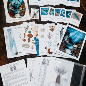 Coral Reef Unit Study Physical Bundle - Etsy