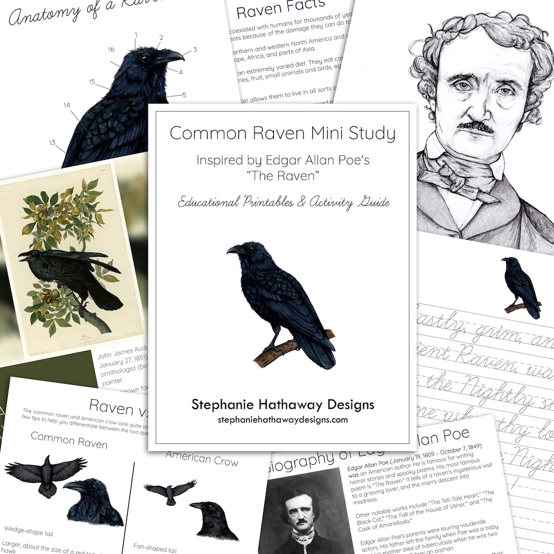 Raven Mini Unit Study - Etsy