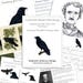 Raven Mini Unit Study - Etsy Canada