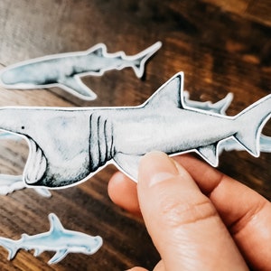 Shark Sticker Pack - Etsy