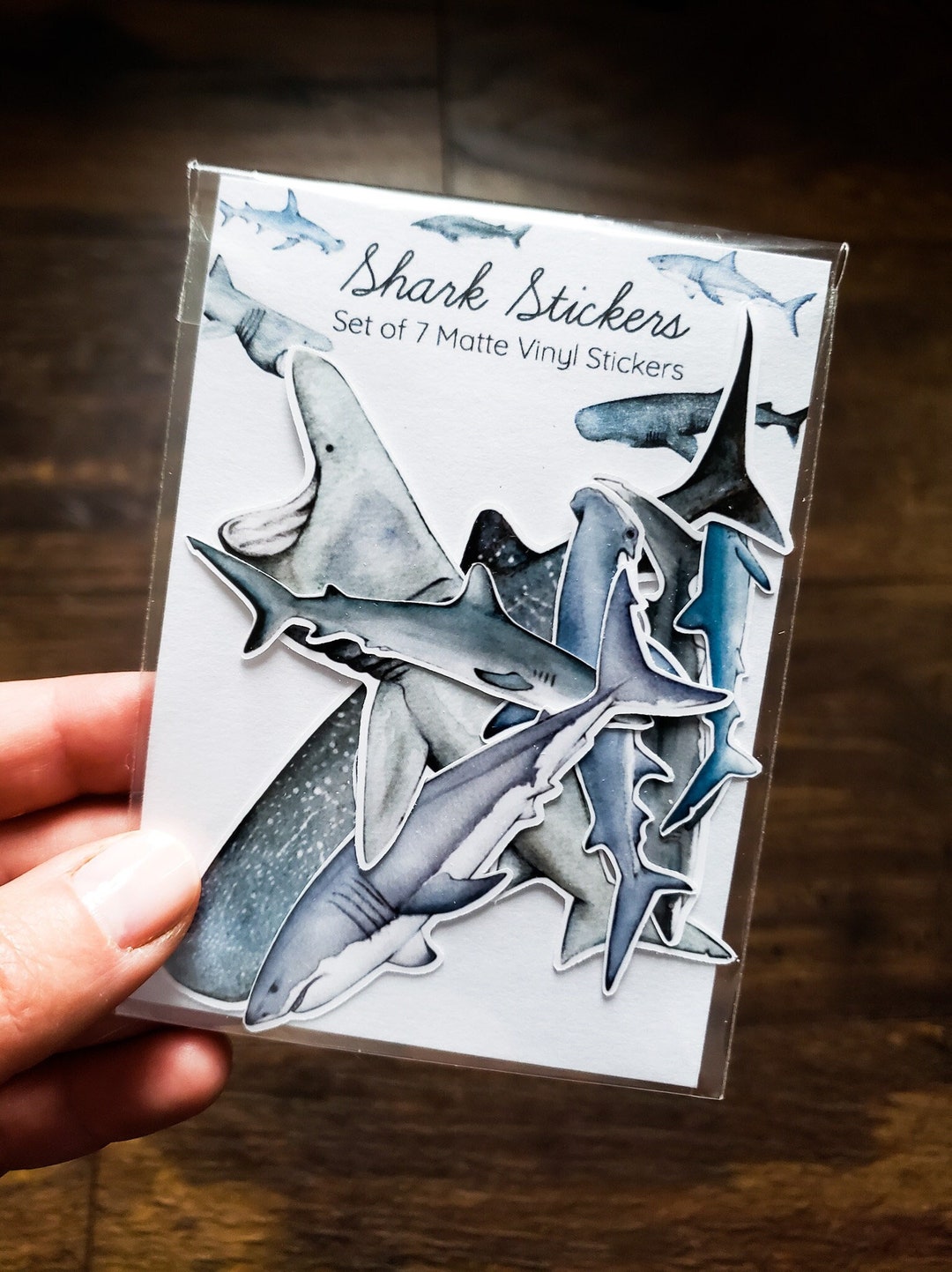 Shark Sticker Pack - Etsy