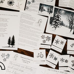Snow Nature Study Physical Bundle - Etsy