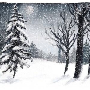Snow Nature Study Physical Bundle - Etsy