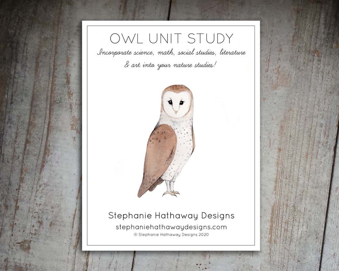 Owl Unit Study Guide - Etsy
