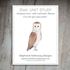 Owl Unit Study Guide - Etsy