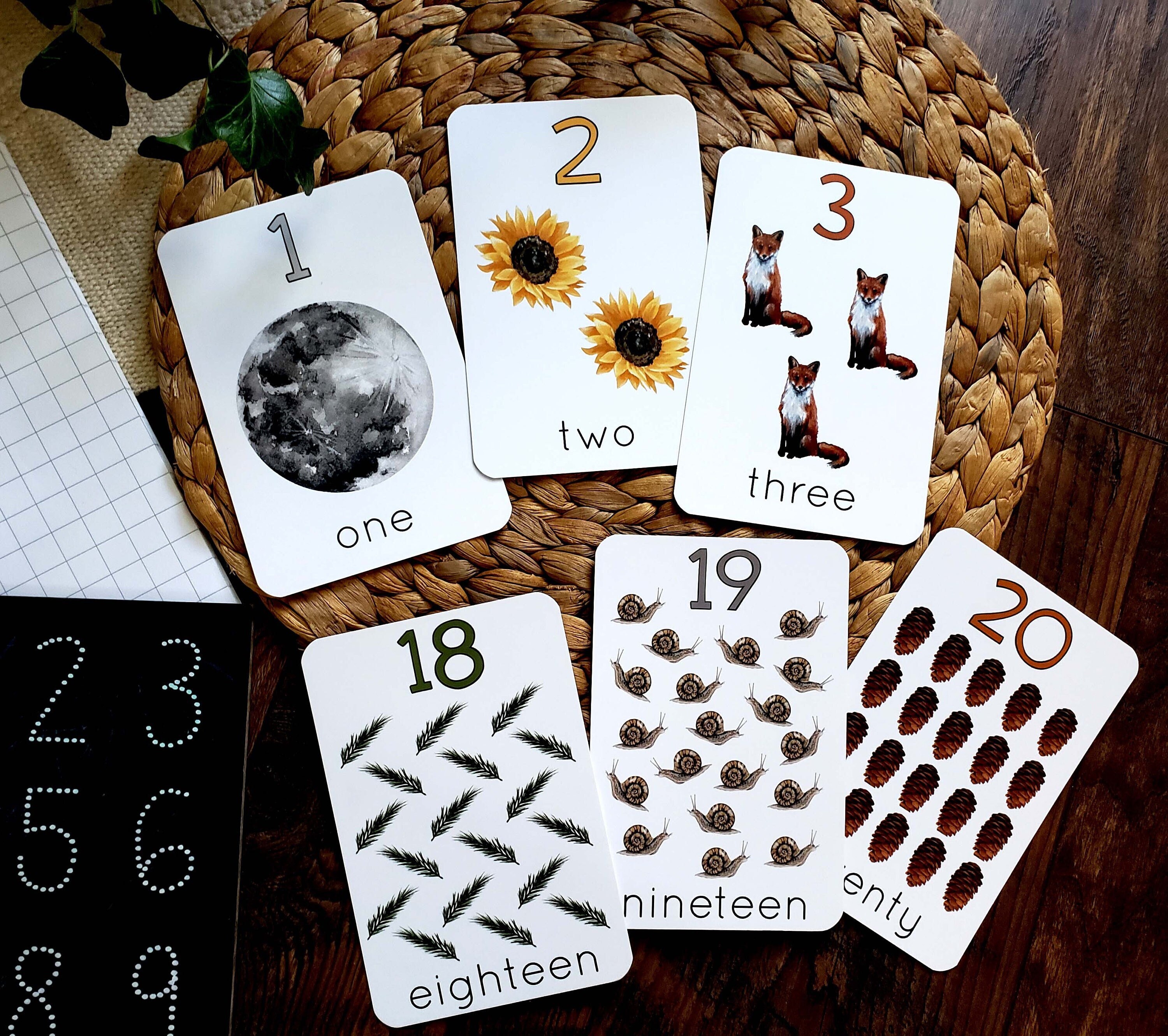 Numbers 1-20 Backyard Nature Flashcards - Etsy