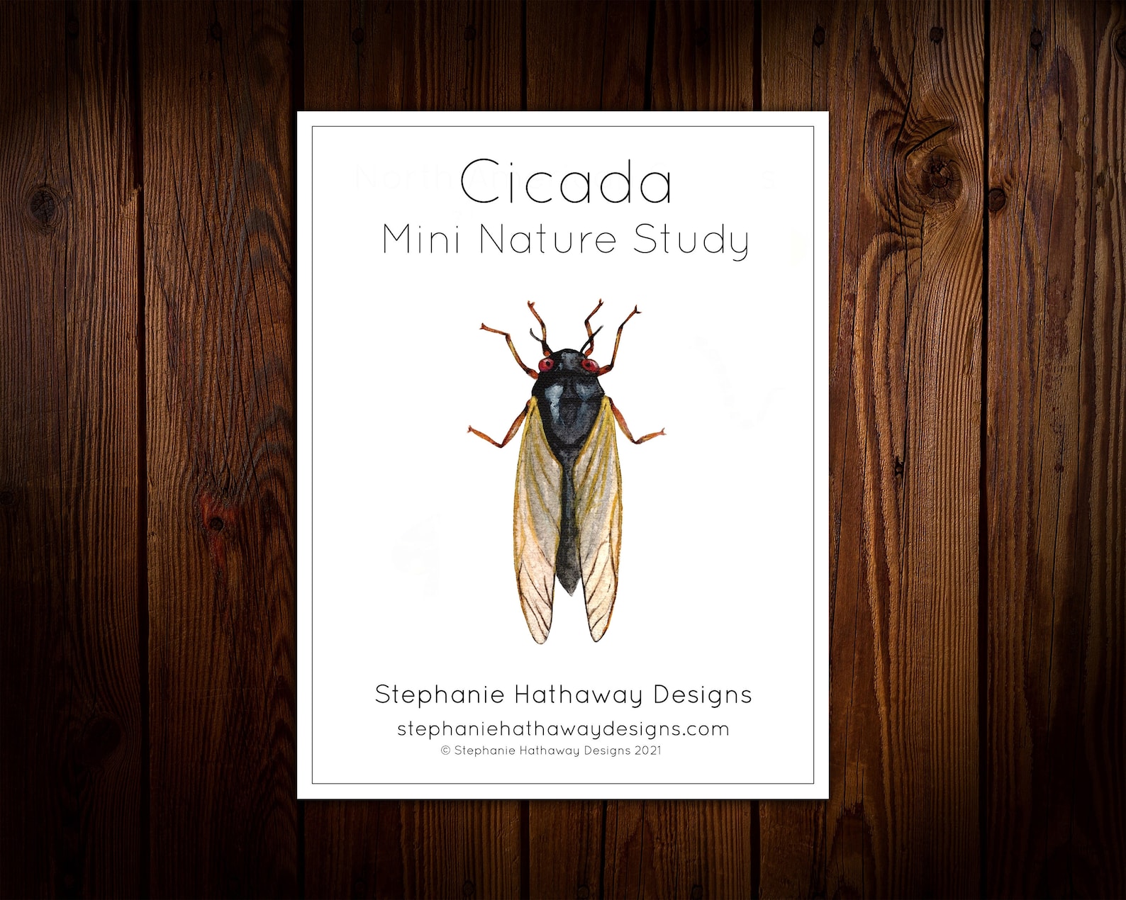 Cicada Mini Nature Study - Etsy