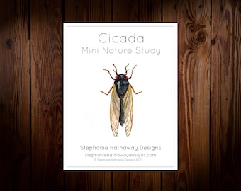 Cicada Anatomy Pack Homeschool Printable Nature Study - Etsy