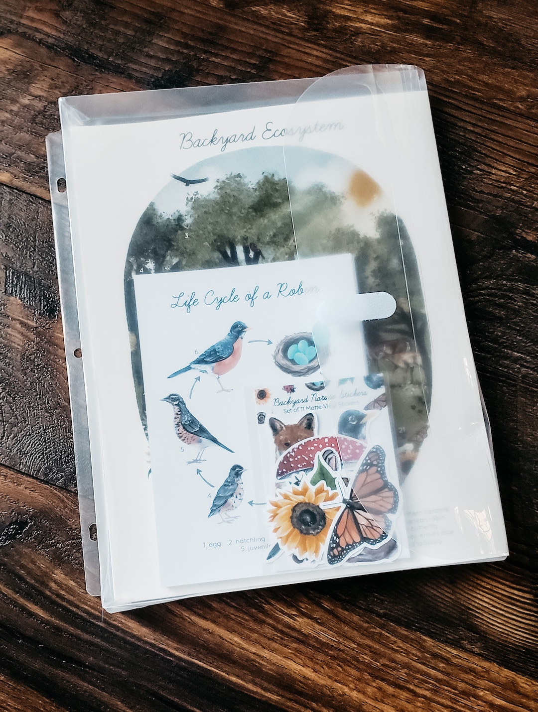 Backyard Ecology Unit Study Physical Bundle - Etsy