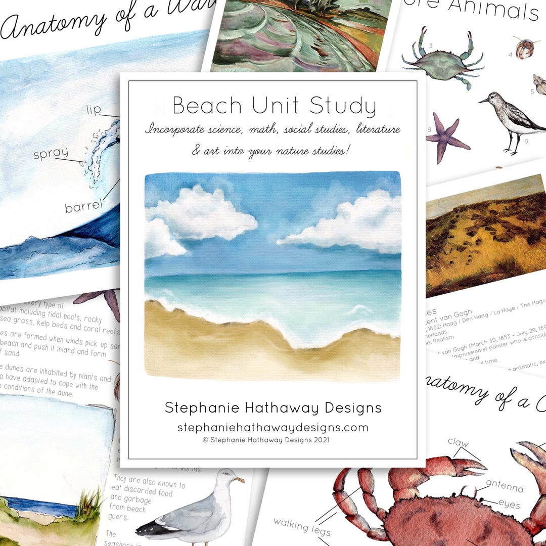Beach Unit Study - Etsy