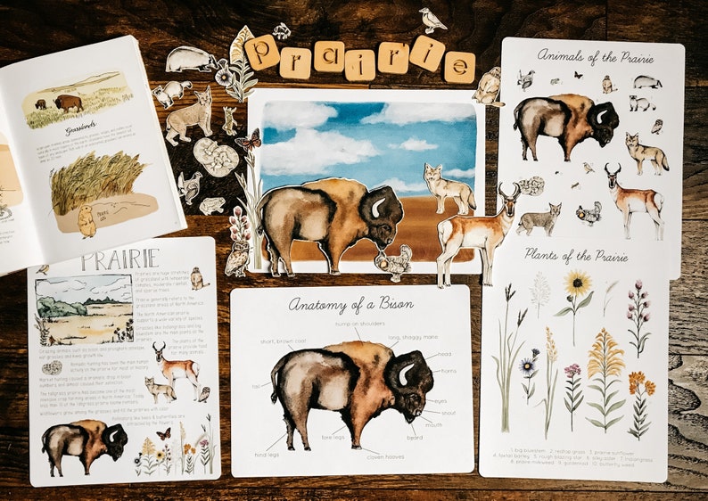 Prairie Unit Study - Etsy