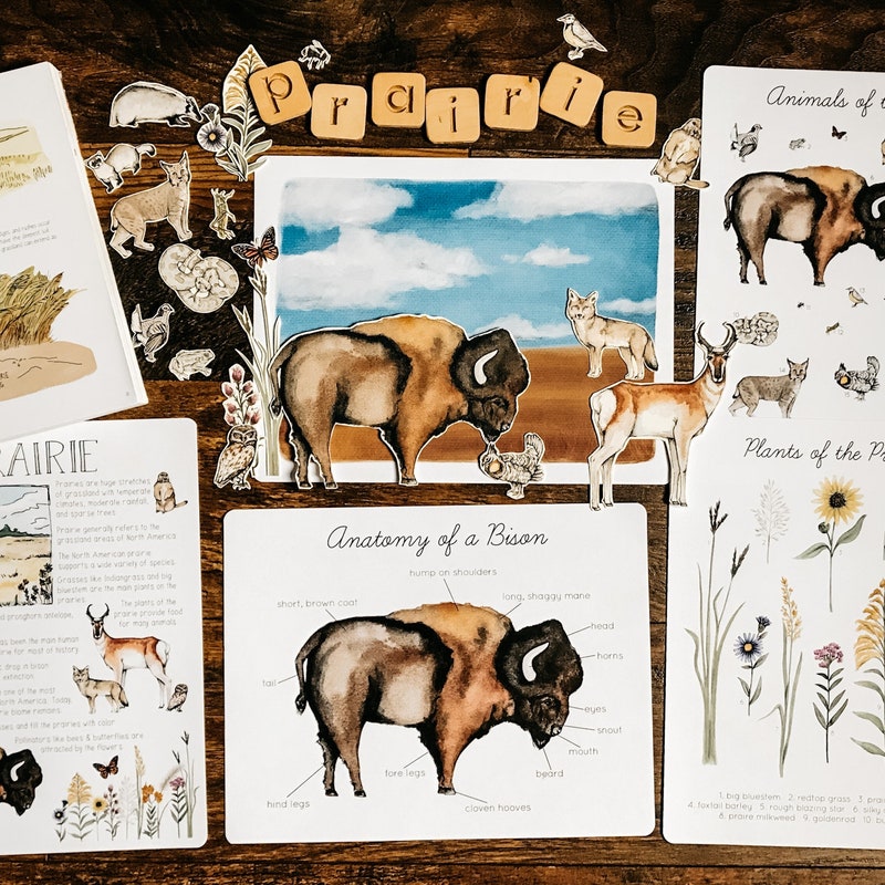 Prairie Animal Prints - Etsy