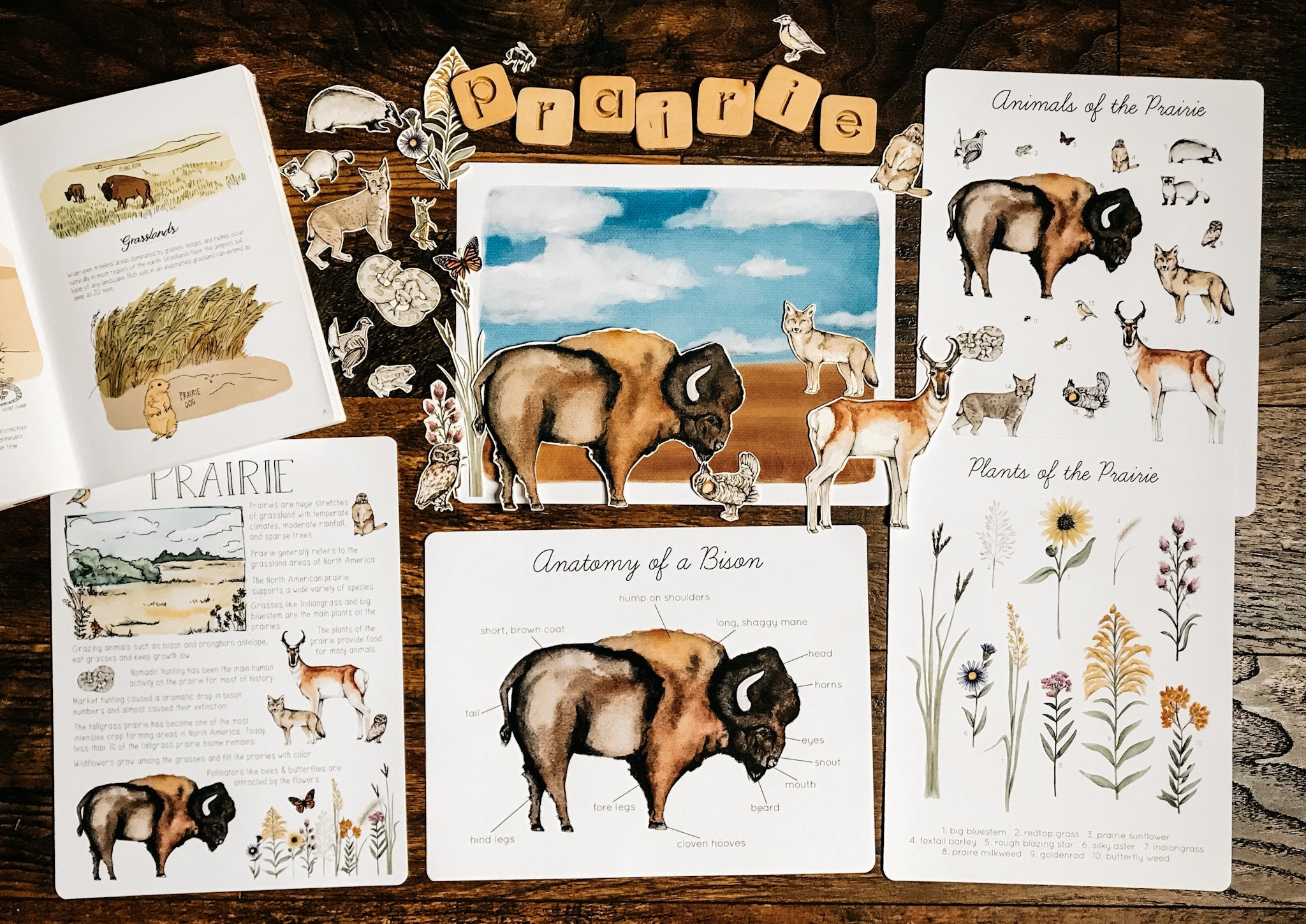 Prairie Unit Study - Etsy