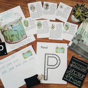 Pond Unit Study Bundle - Etsy