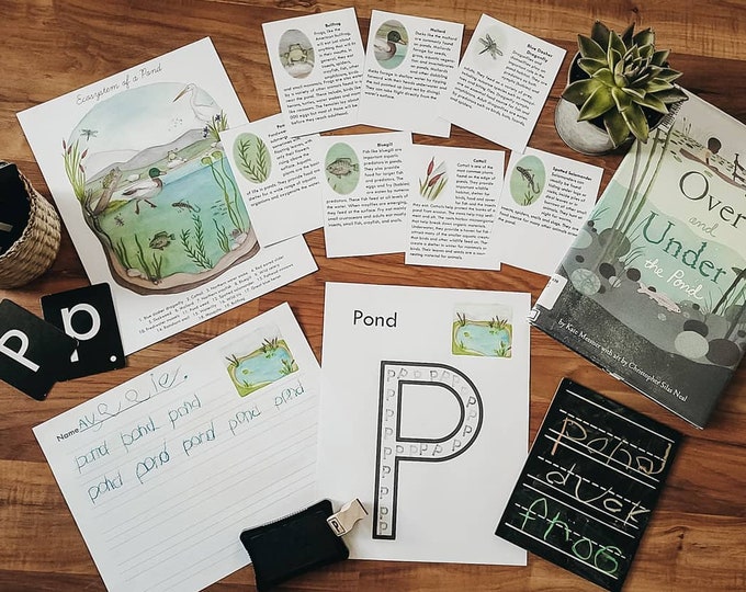 Frog Nature Pack Printable Nature Study Includes 1 Poster, 1 Journal ...