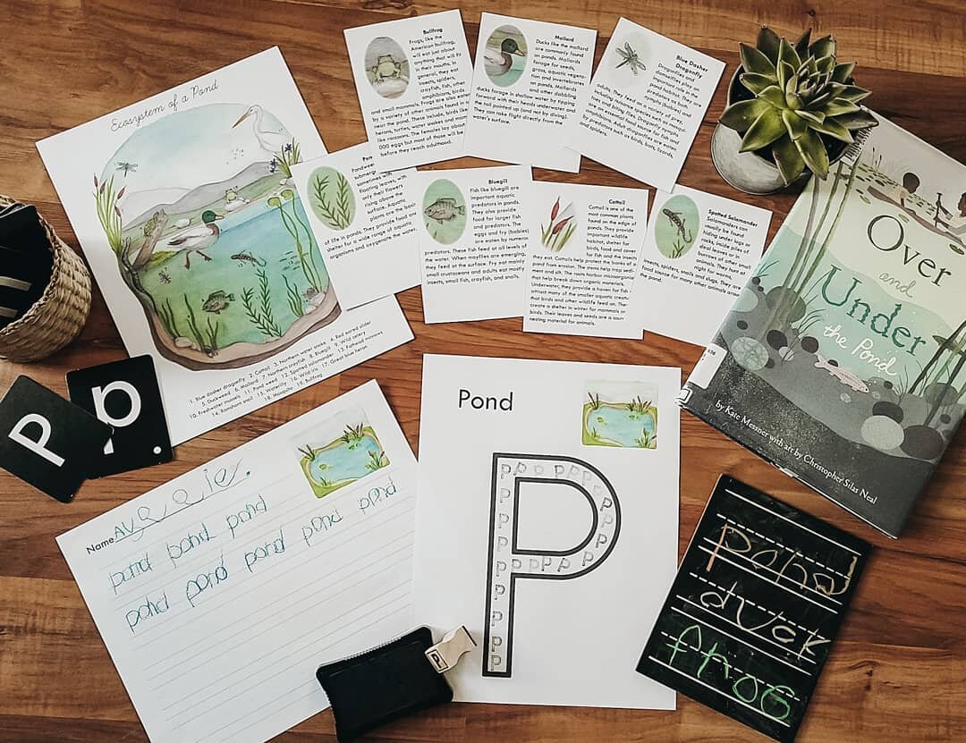 The Pond Bundle | Etsy