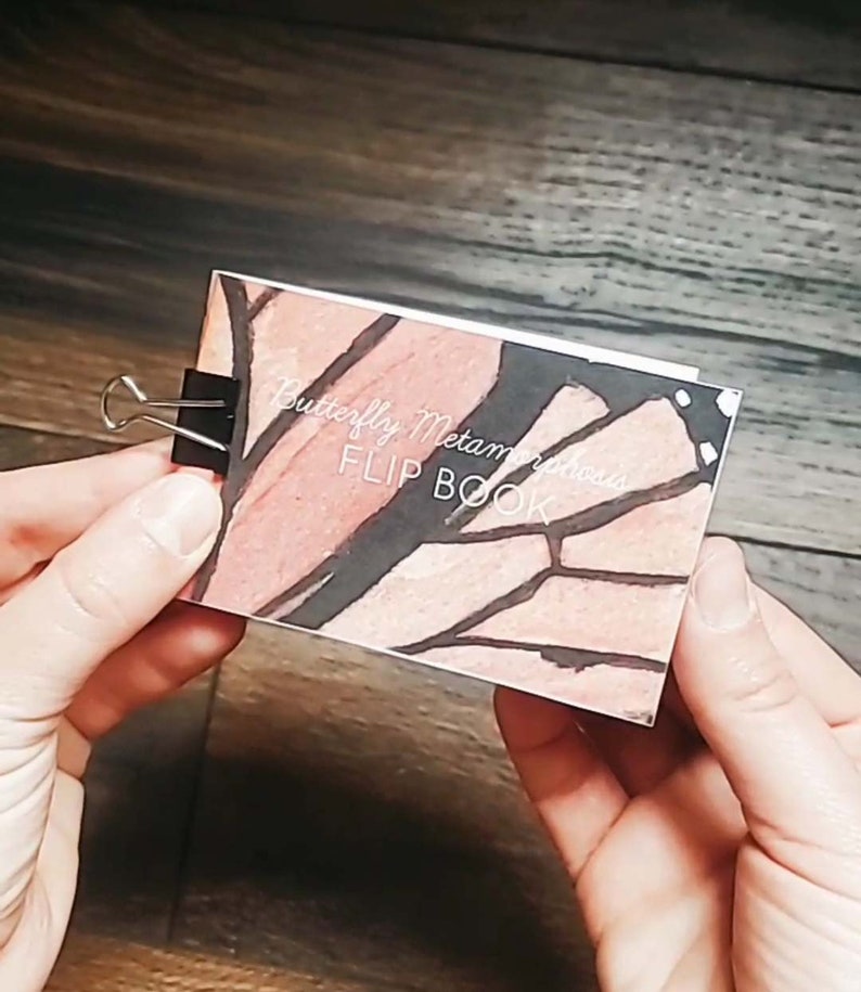 Butterfly Metamorphosis Flip Book - Etsy