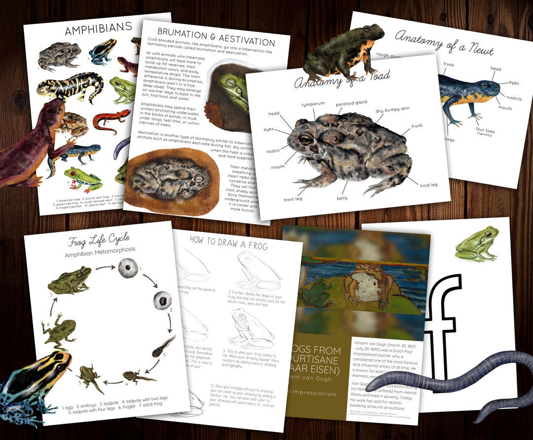 Amphibian Unit Study - Etsy
