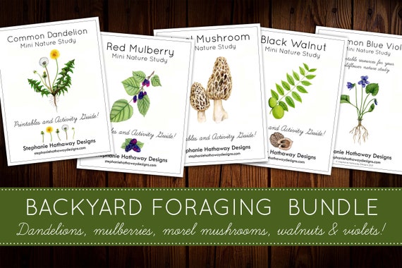 Backyard Foraging Bundle - Etsy