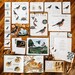 Backyard Nature Bundle - Etsy