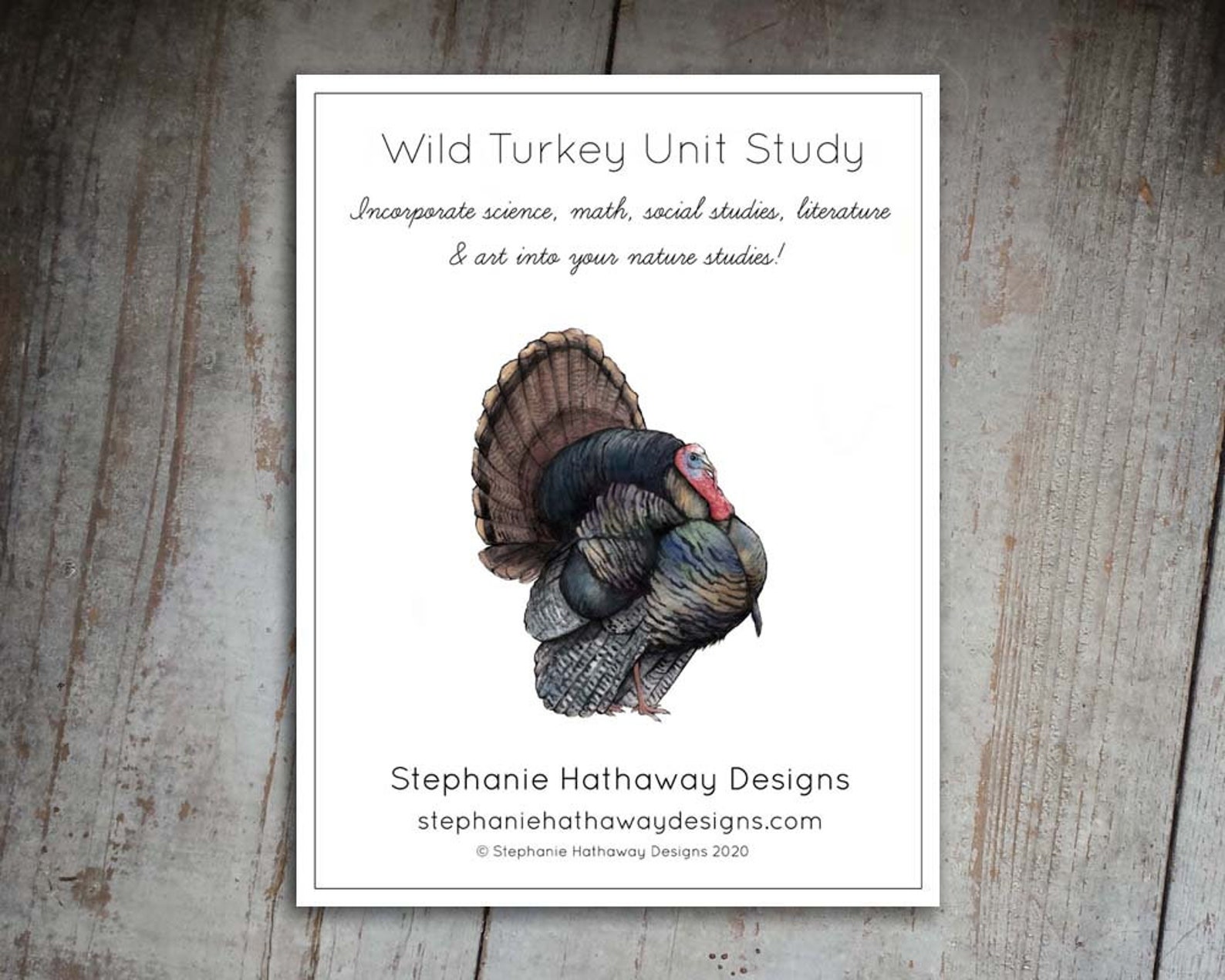Wild Turkey Nature Study With Unit Study Guide - Etsy