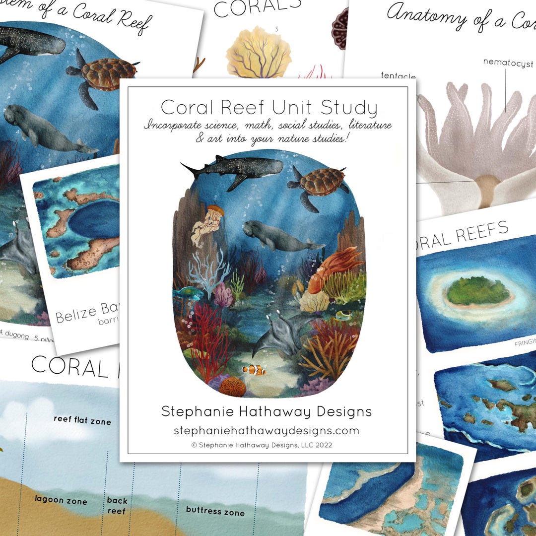Coral Reef Unit Study - Etsy
