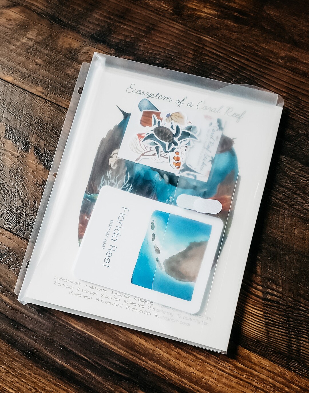 Coral Reef Unit Study Physical Bundle - Etsy