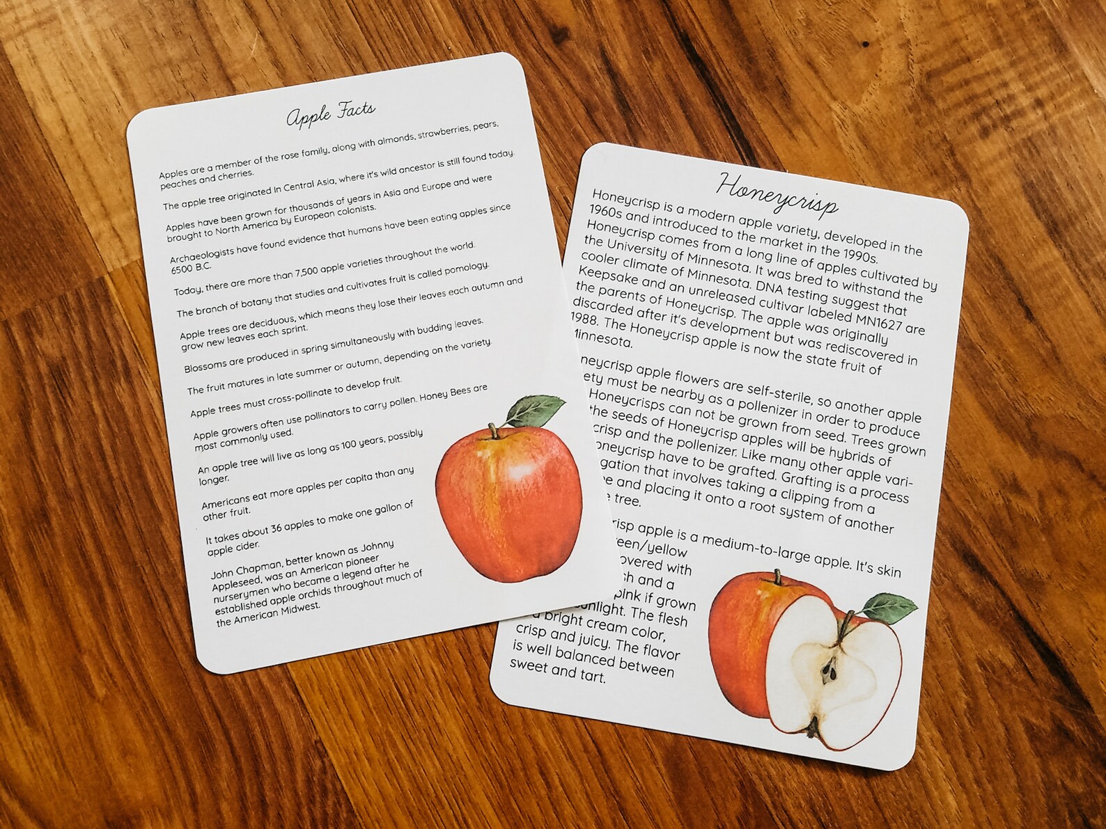 Apple Unit Study Bundle - Etsy