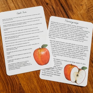 Apple Unit Study Bundle - Etsy