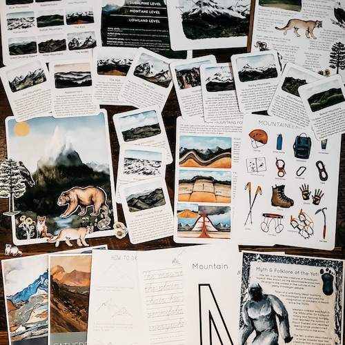 Horse Unit Study Physical Bundle - Etsy