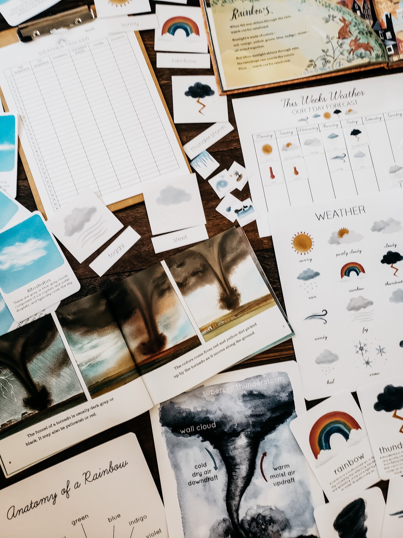 Weather Unit Study - Etsy