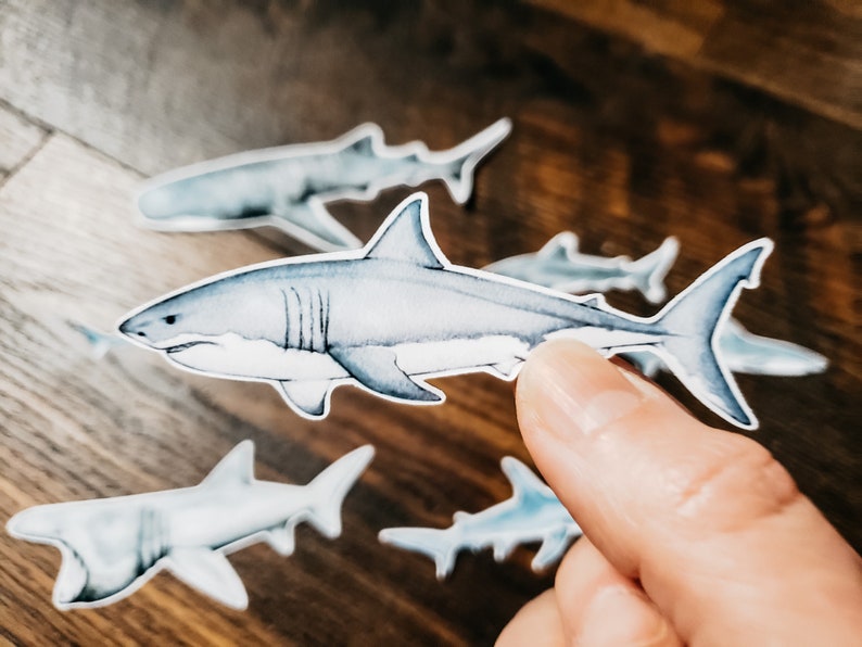 Shark Sticker Pack - Etsy