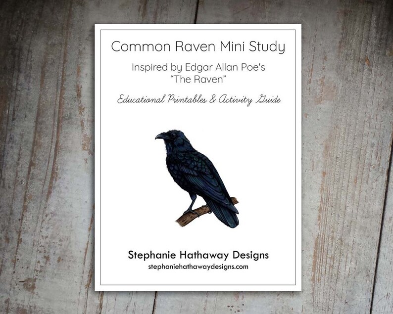 Raven Mini Unit Study | Etsy