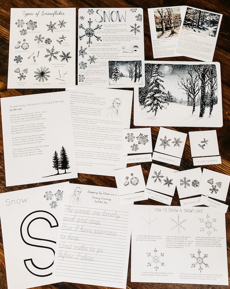 Snow Nature Study Physical Bundle - Etsy