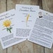 Dandelion Mini Unit Study Bundle - Etsy