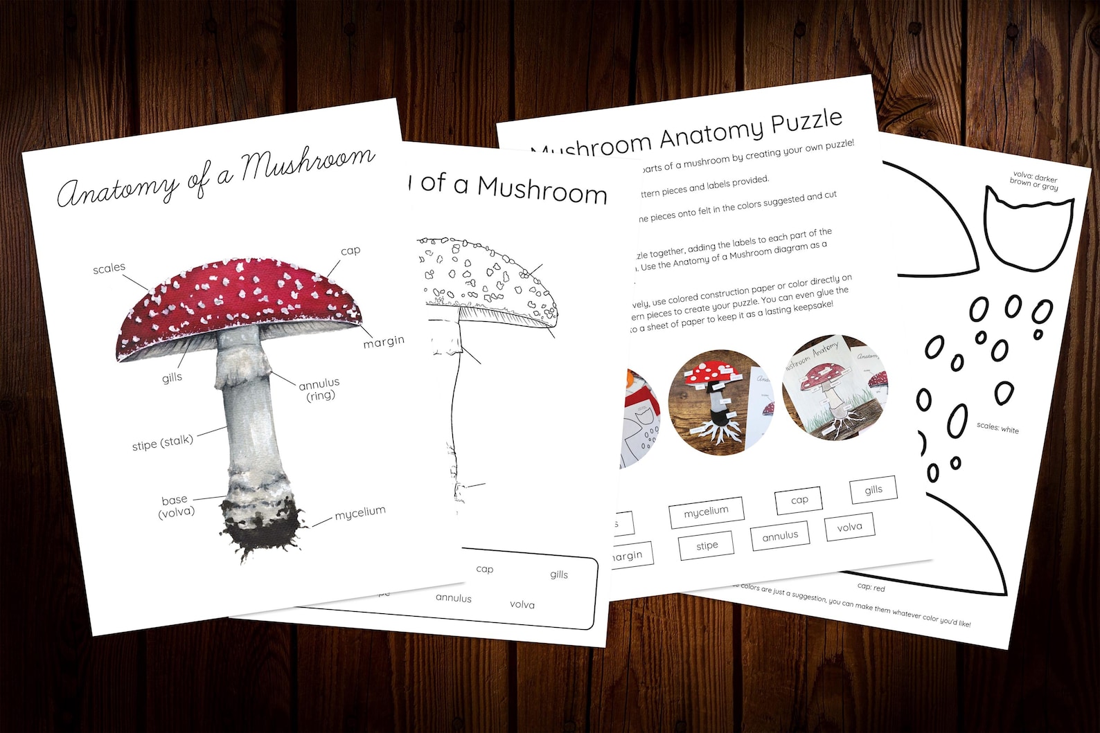 Mushroom Unit Study - Etsy