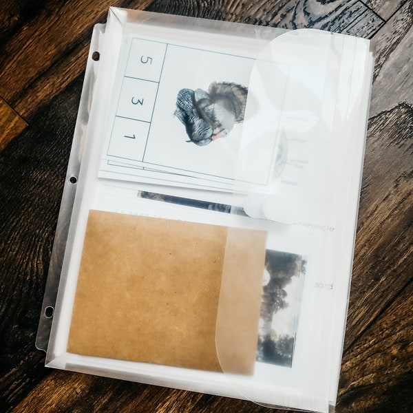 Feather Study - Etsy