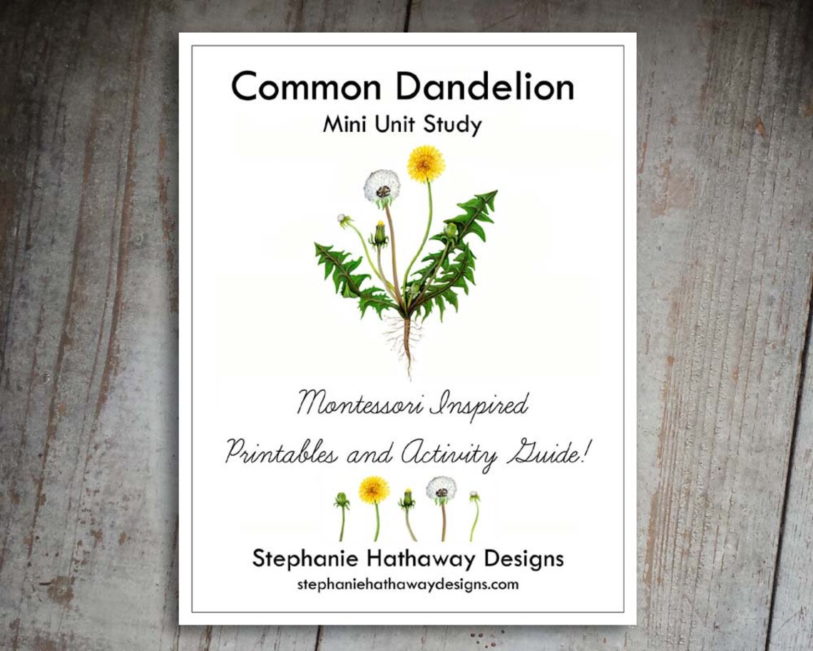 Dandelion Mini Unit Study Bundle - Etsy