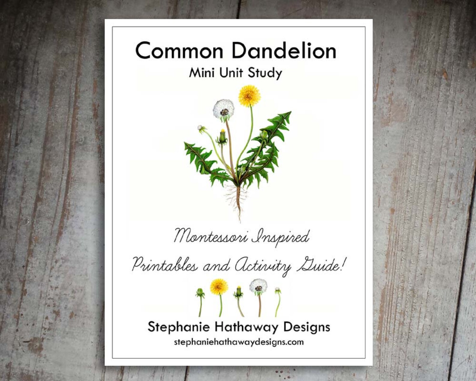 Dandelion Mini Unit Study Bundle - Etsy