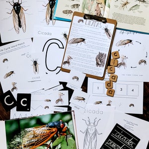 Minibeast Nature Study Vol. 1 - Etsy