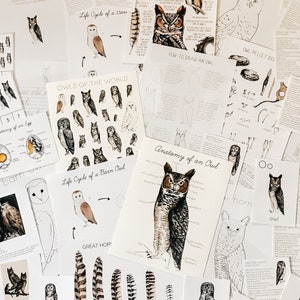 Owl Unit Study Guide - Etsy