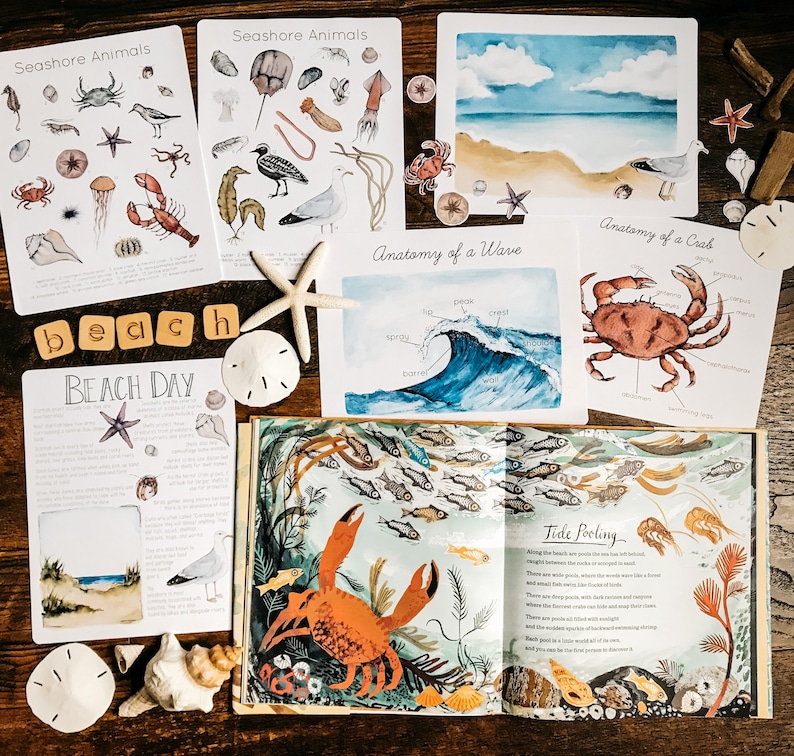 Beach Unit Study - Etsy