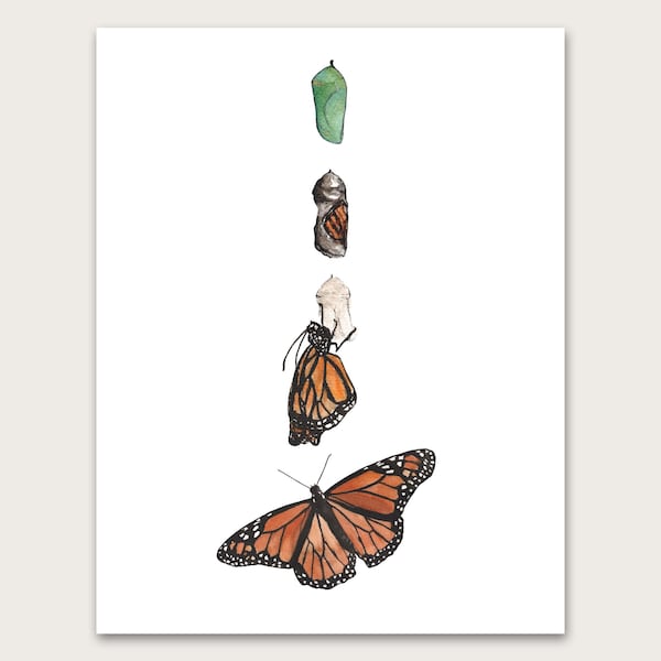 Metamorphosis - Etsy