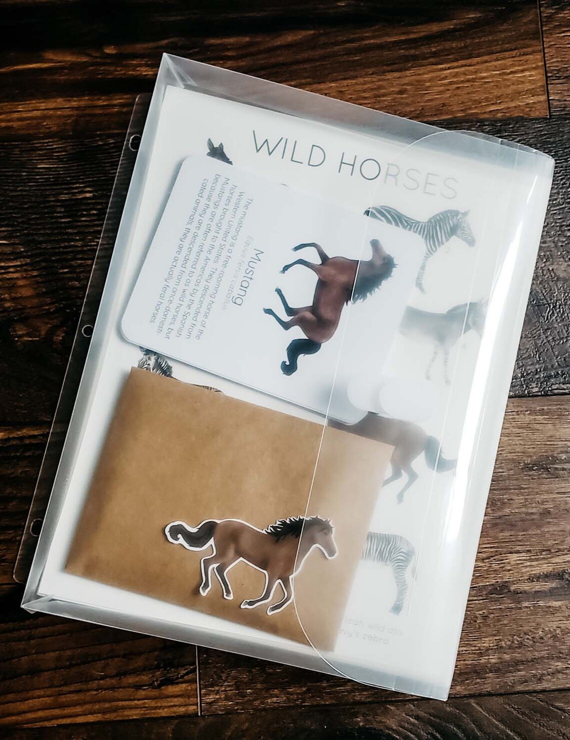 Horse Unit Study Physical Bundle - Etsy