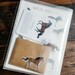 Horse Unit Study Physical Bundle - Etsy