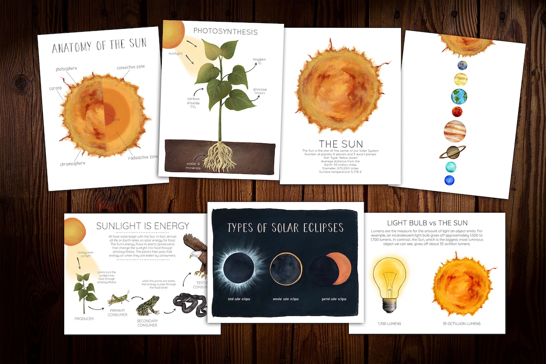 The Sun Mini Nature Study - Etsy