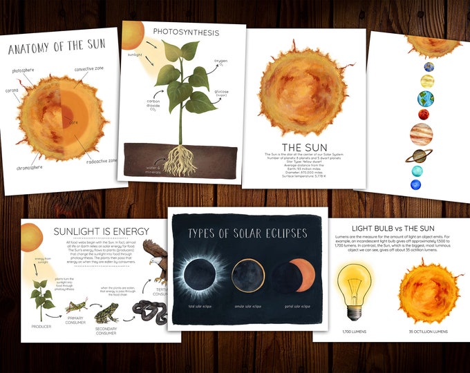 Montessori Sun Celebration Mat Printable Montessori Birthday Mat ...
