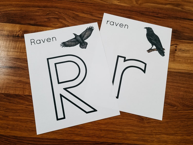 Raven Mini Unit Study | Etsy